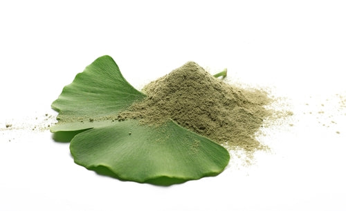 Ginkgo Leaf Powder – Highlands Organic Market
